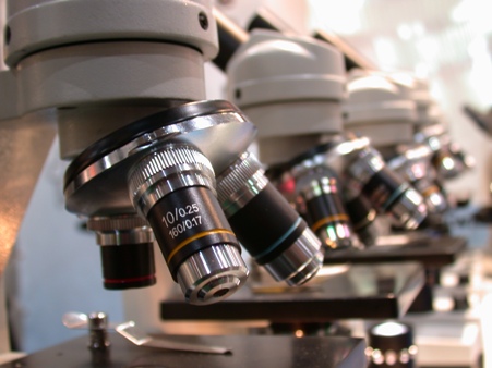 Corrective action under the microscope and finding the root cause