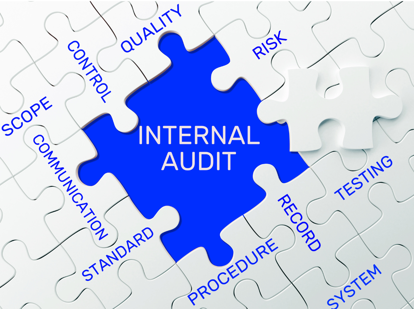 Internal audits - who are you aiming to please when you do these?
