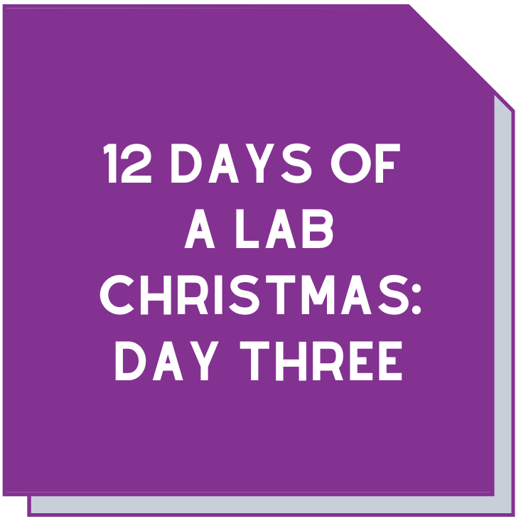 12 Days of a Lab Christmas Day 4 - an internal audit of new work